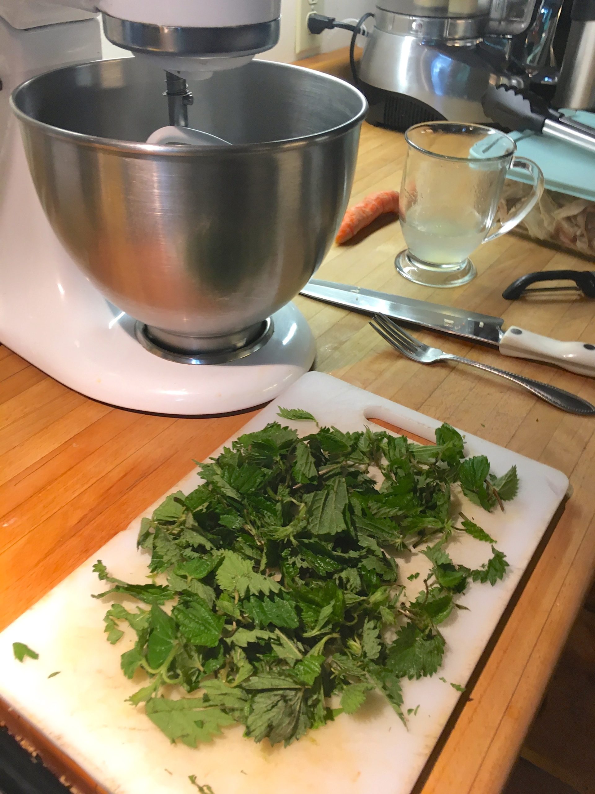 Day-In-The-Life Of A GAPS Family - Honest Body