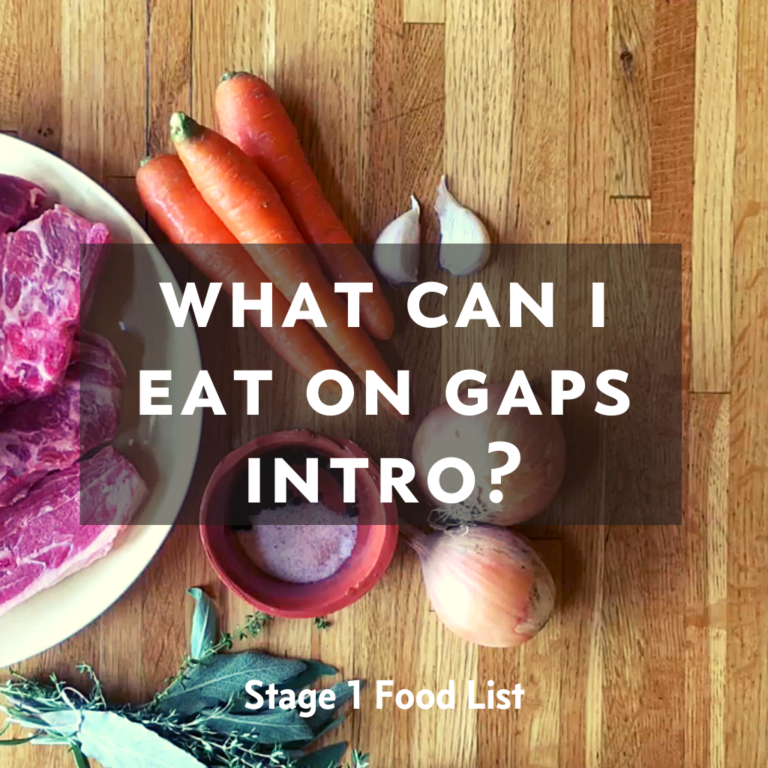 Healing for the Gutsy Human - Honest Body